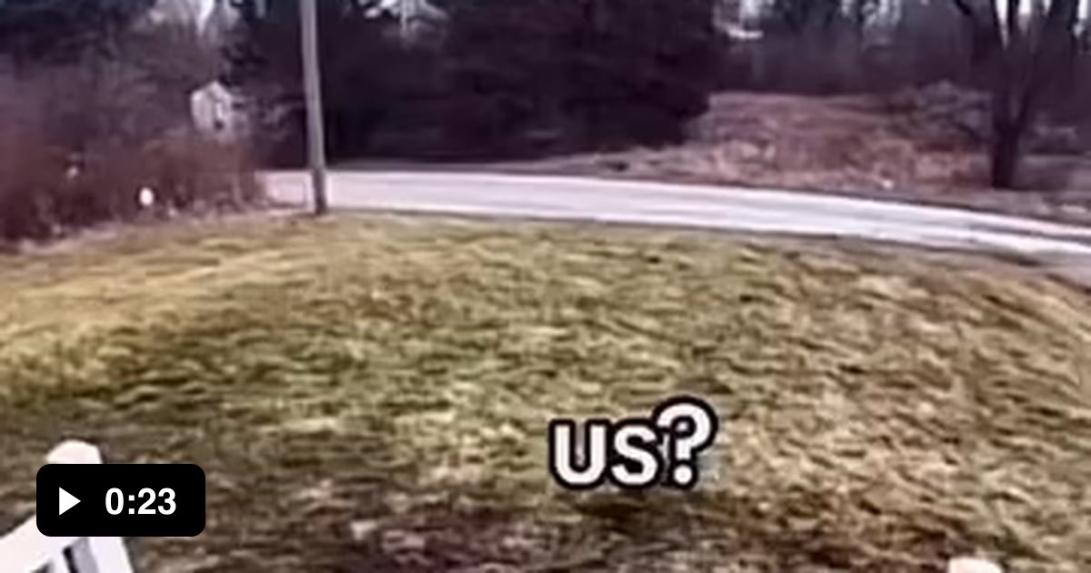 Here come the wee woos! - 9GAG