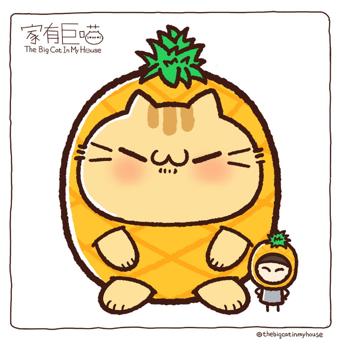 Pineapple cat - 9GAG