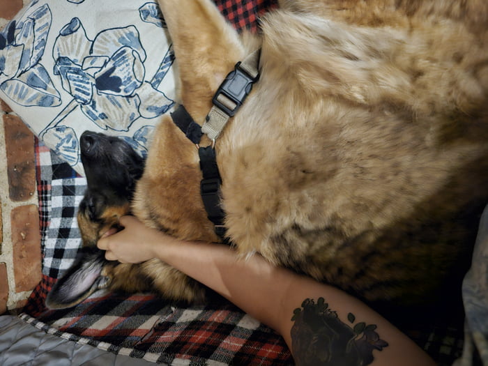 My beautiful boy - 9GAG