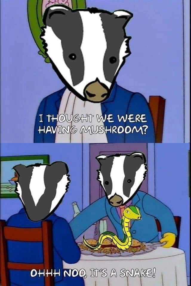 Badger badger badger - 9GAG