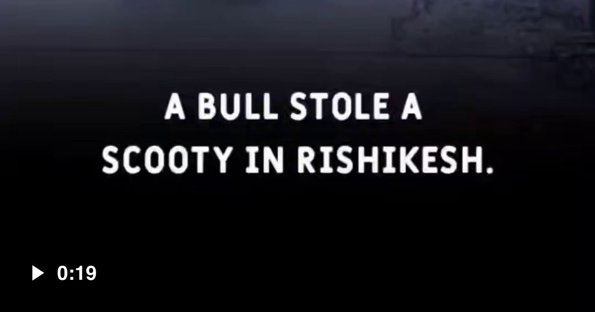 The bull did what ? - 9GAG