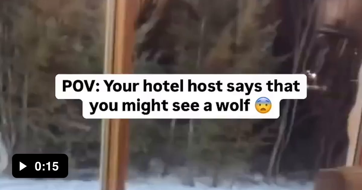 Wolves - 9GAG