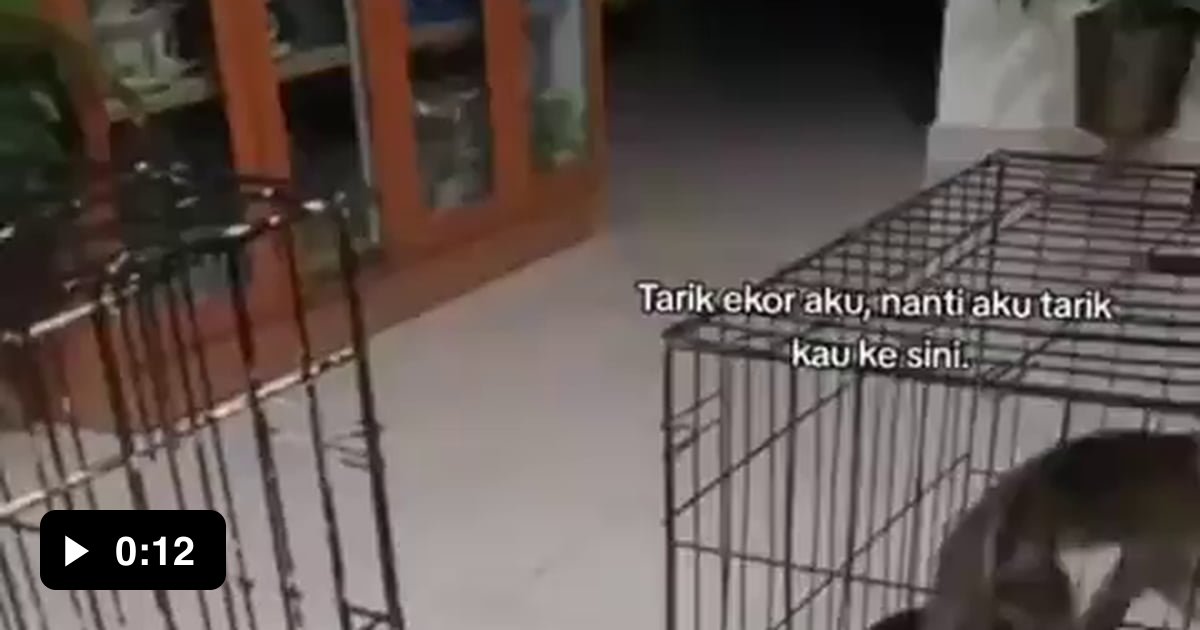 Bro reached new level of evolution... - 9GAG