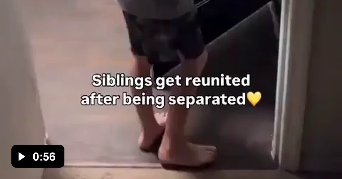 This is the moment little Leo sees his big sister for the first time after YEARS. Foster care ...