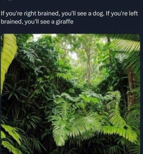 Middle brained - 9GAG