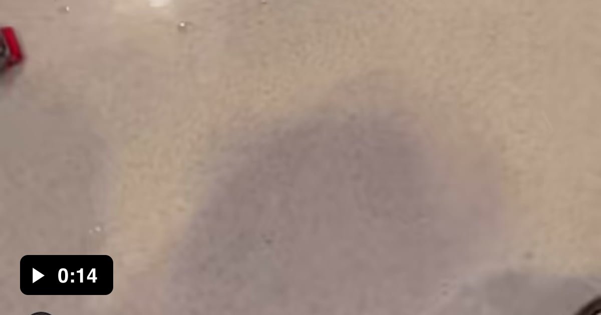 Oh look I’m a cat oh wow. - 9GAG