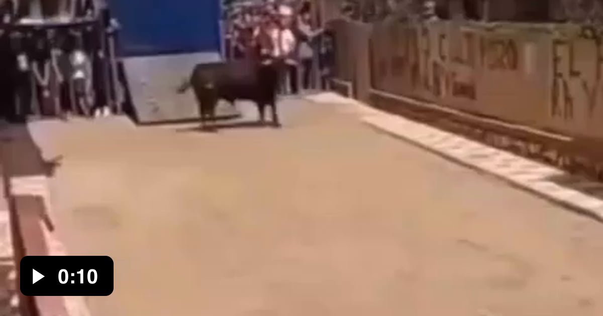 Bull said: 'Get outta here!' - 9GAG