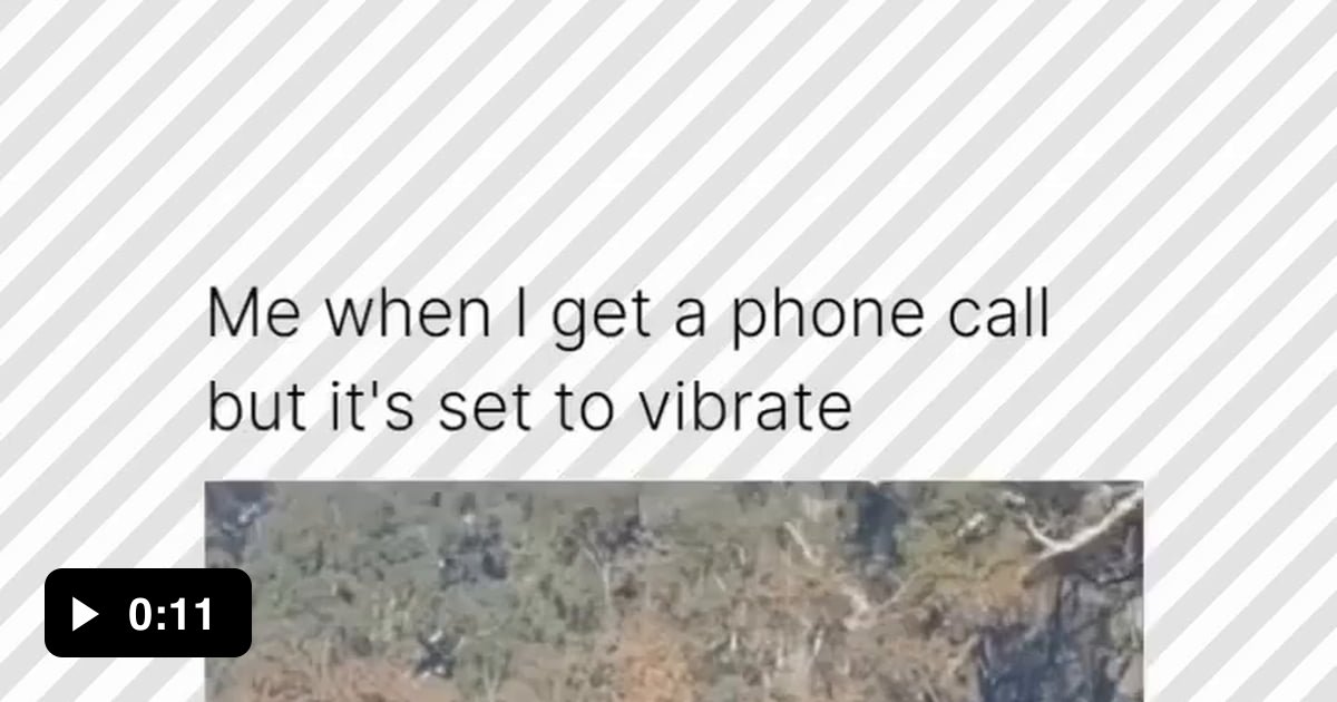 Buffalo on vibration mode - 9GAG