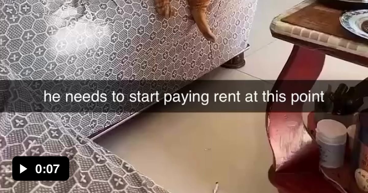 Living large and in charge. - 9GAG