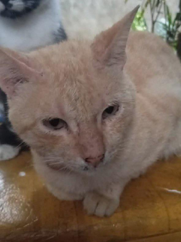 Grumpy face. Gentle heart. - 9GAG