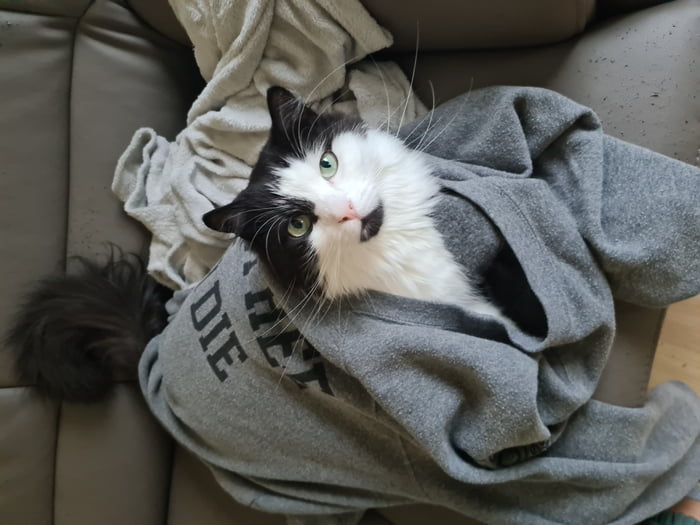 Here's mine, go nuts now - 9GAG