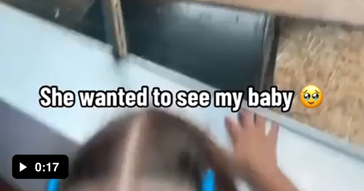 The Orangutan asked to see the baby - 9GAG