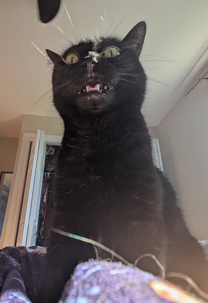 Please show me your most blessed+cursed pics - 9GAG