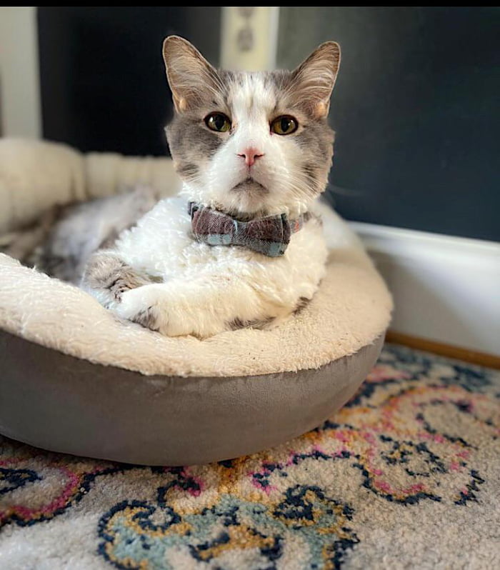 20 years strong and still stealing hearts - 9GAG