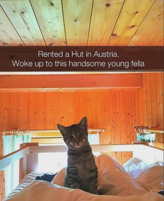 Basic human needs - 9GAG