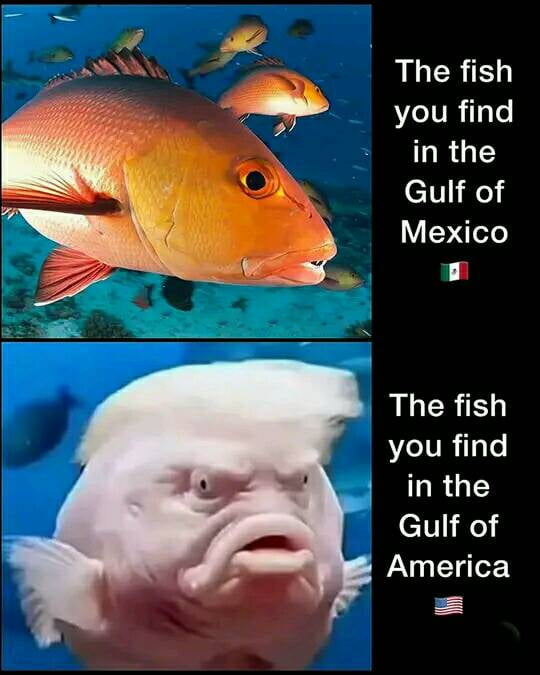 Excuse me sir... but, do you own a suit? cause we are going out to buy ...