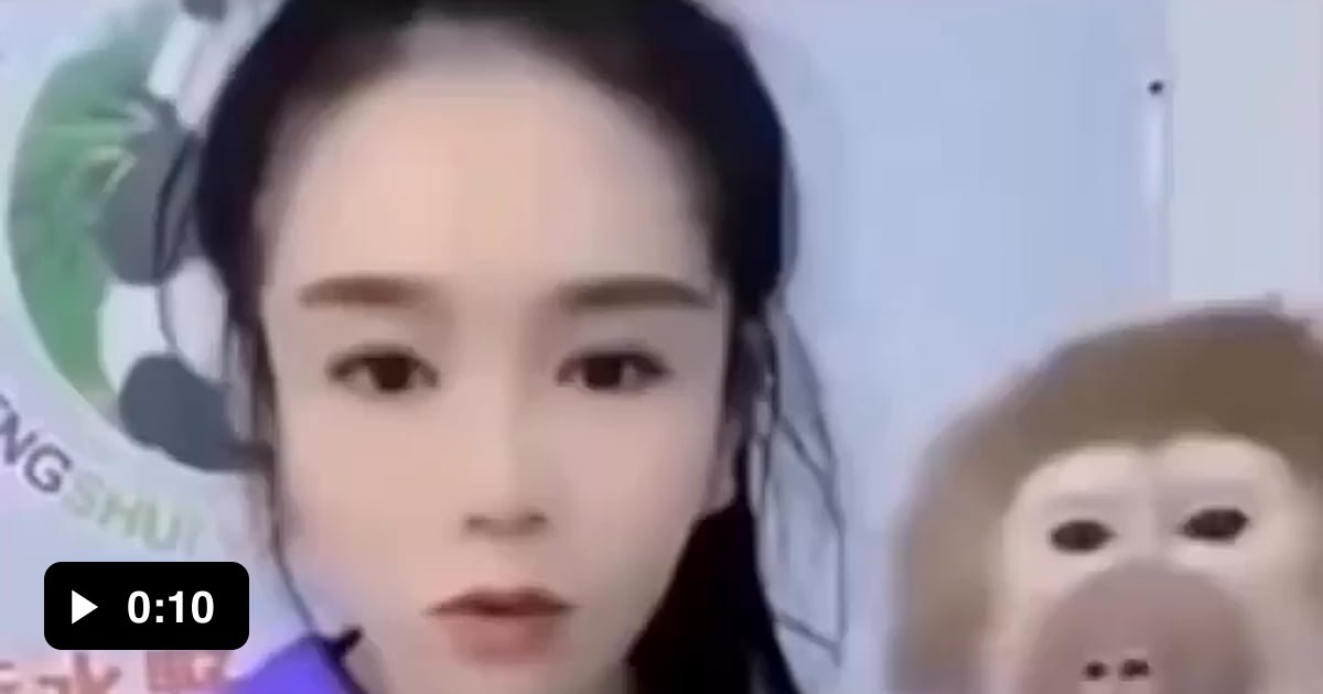 Monkey see, Monkey won’t do - 9GAG