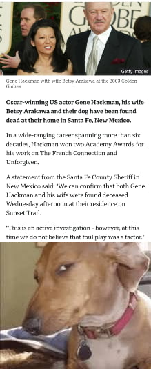 Completely normal phenomenon. - 9GAG