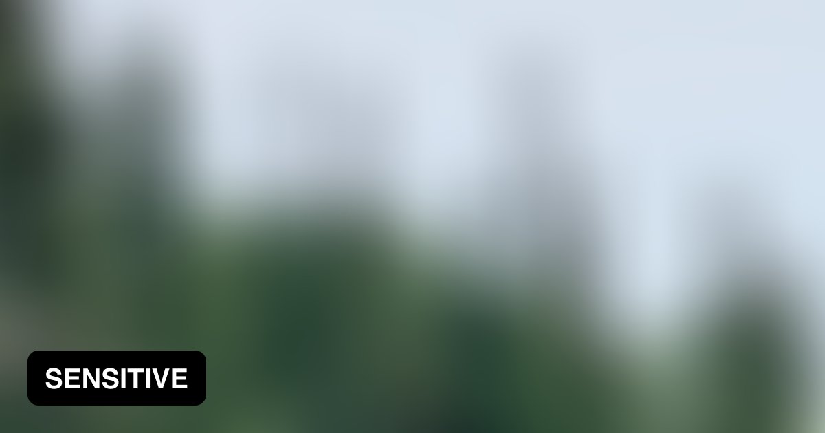 What a catch, this eagle is a true hunter - 9GAG