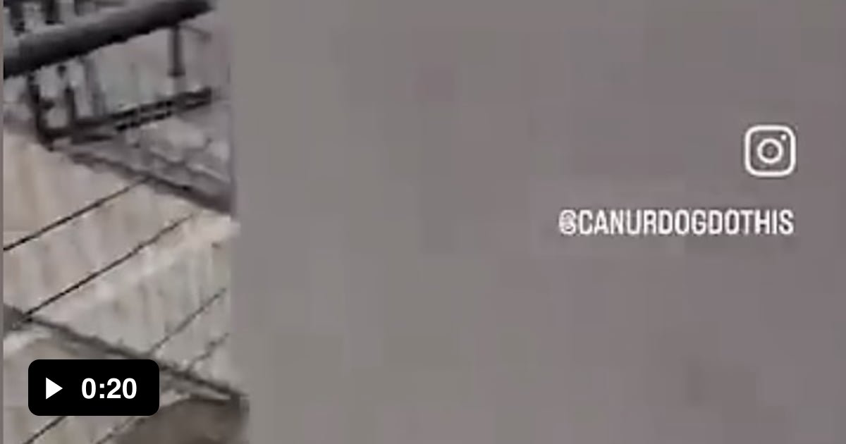 Reverse cage rage - 9GAG