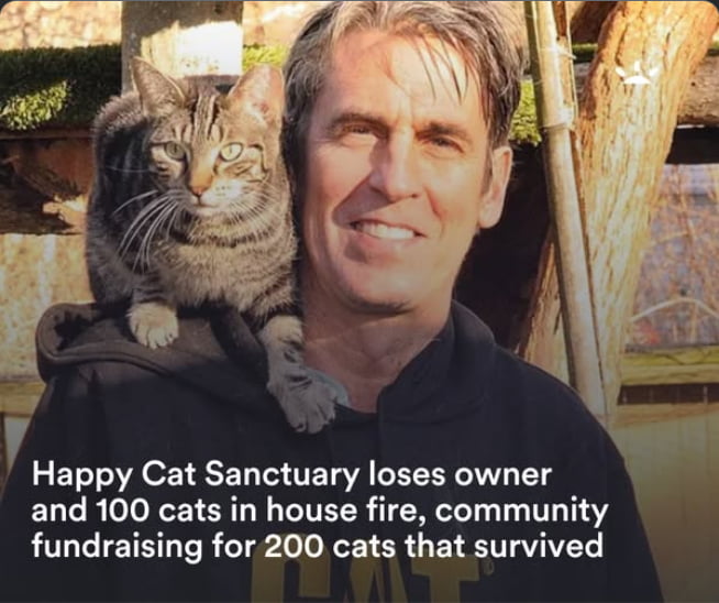 Witnesses saw him go back again and again to rescue more cats. - 9GAG