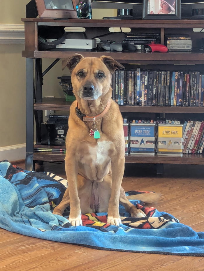 She don't know how to sit. - 9GAG