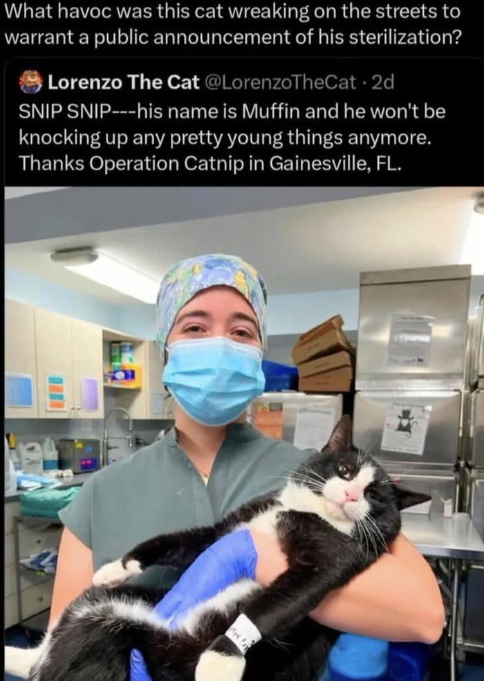 Look at his face. He has at least a gazillion babies that want to call ...