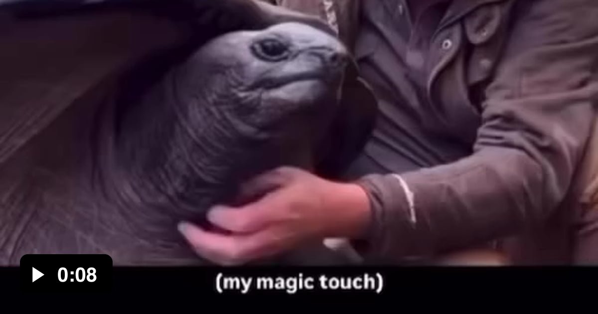 Ready for round two with the big guy. - 9GAG