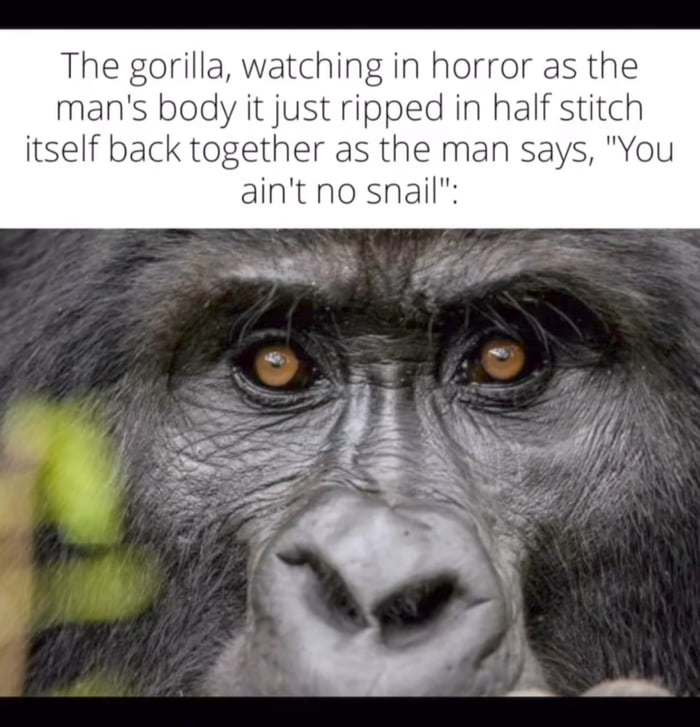 The lore of the snail - 9GAG