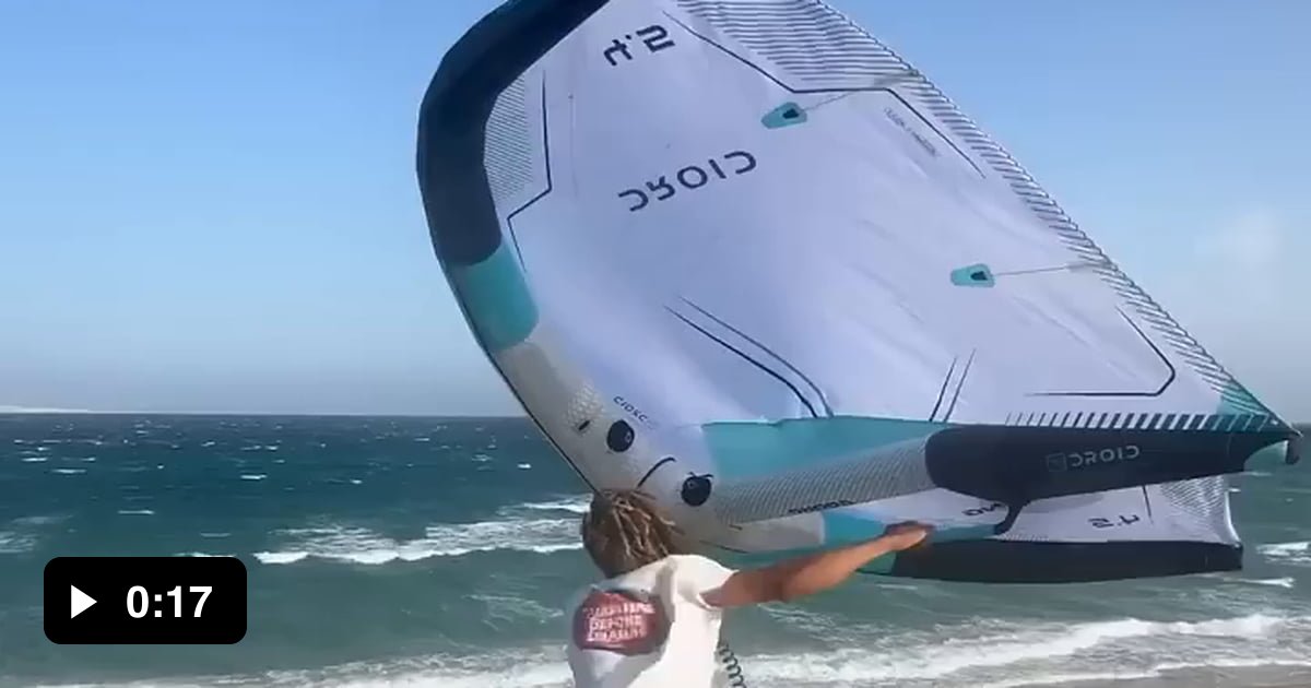 When you try to fly but gravity has other plans. - 9GAG