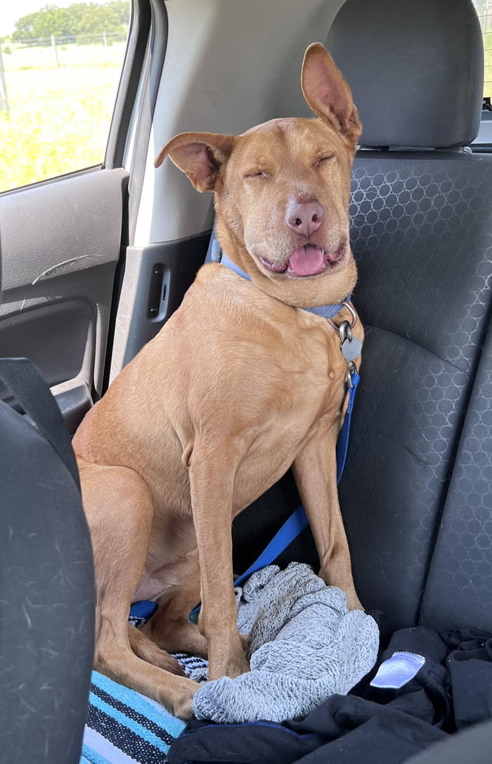 Doofus trued to eat a spicy fly, yes she was perfectly fine afterword ...