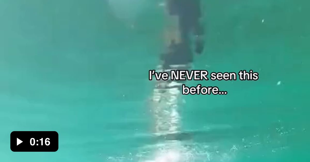 Oh yeah, the stick! - 9GAG