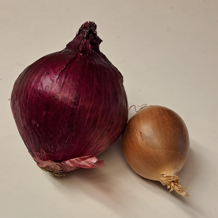 Of a red onion - 9GAG