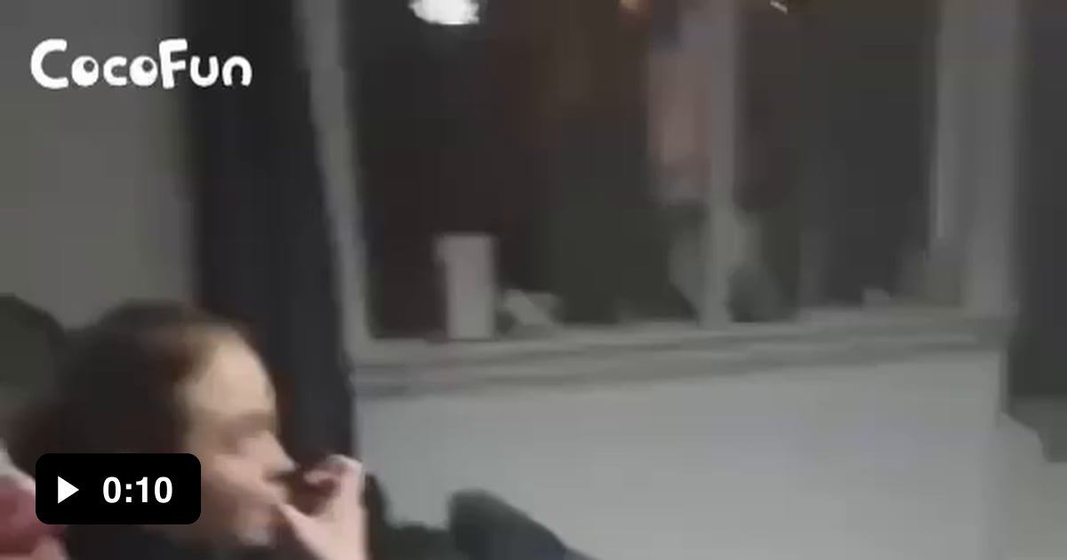 Polly gives a cracker - 9GAG