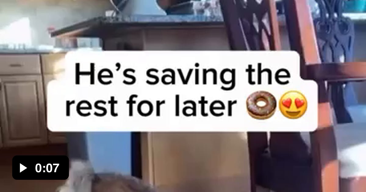 He already took a bite from it too 😂😂 - 9GAG