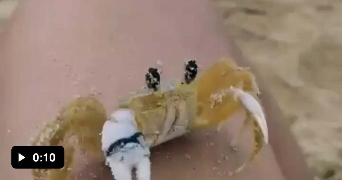 This crab's got windshield wipers - 9GAG