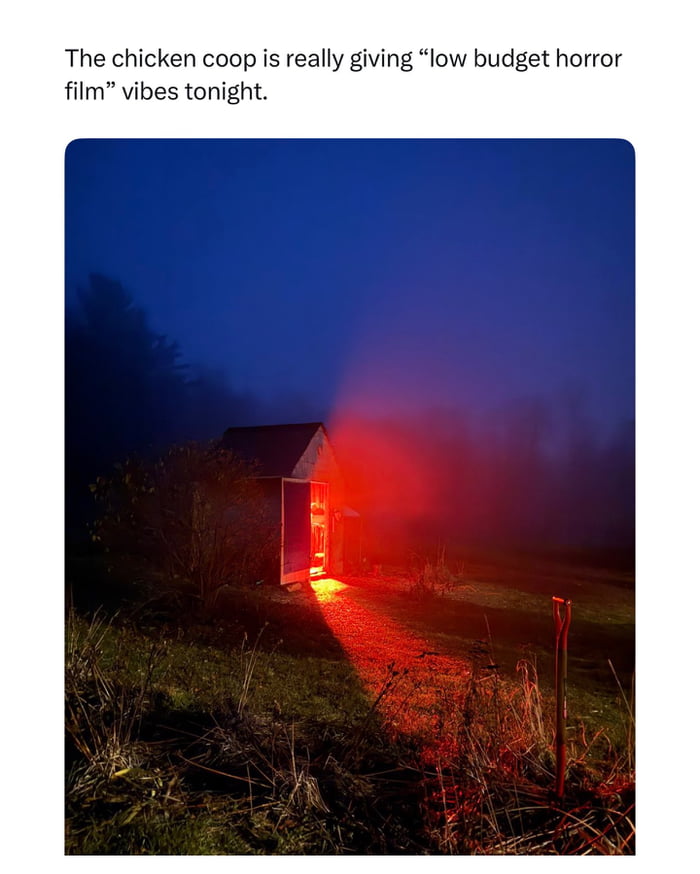 Chicken coop giving off some serious horror movie vibes tonight - 9GAG