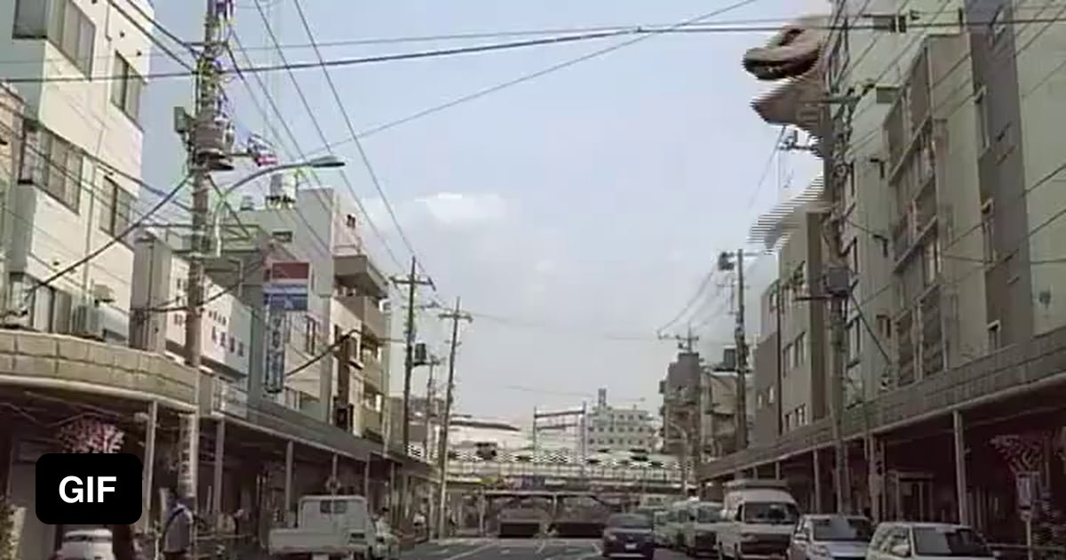 Wat daf...!?! - 9GAG