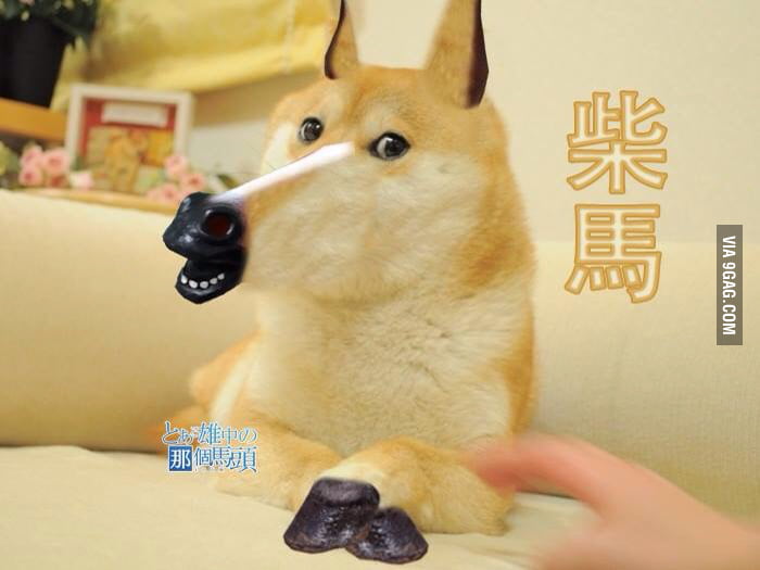 Horse+doge=horge - 9GAG