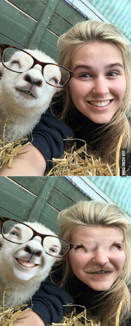 Best Face Swap!! - 9GAG
