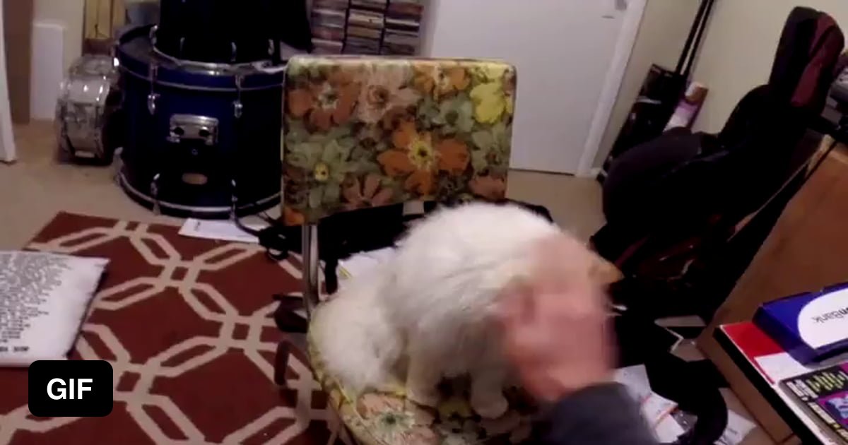 High five, buddy! - 9GAG