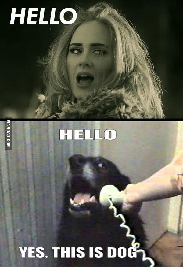 Hello dawg - 9GAG