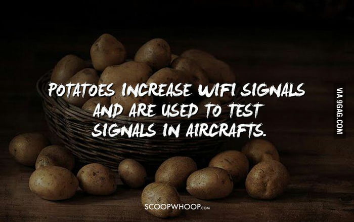 WiFi speed - over 9000 potatoes/sec - 9GAG