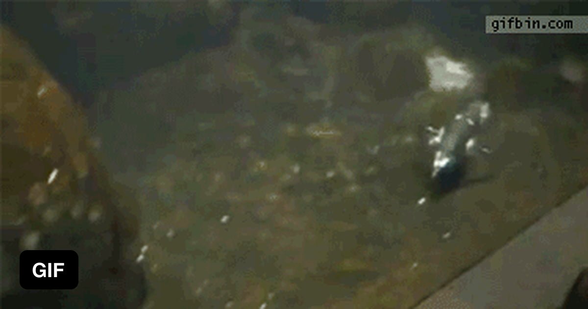 Water fart - 9GAG