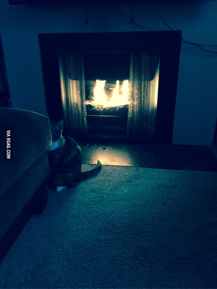 Stealth mode: on? - 9GAG