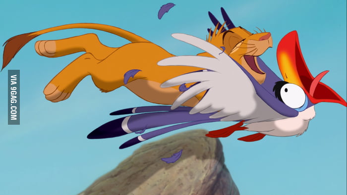 Simba Attacks Zazu Lion King I 9gag
