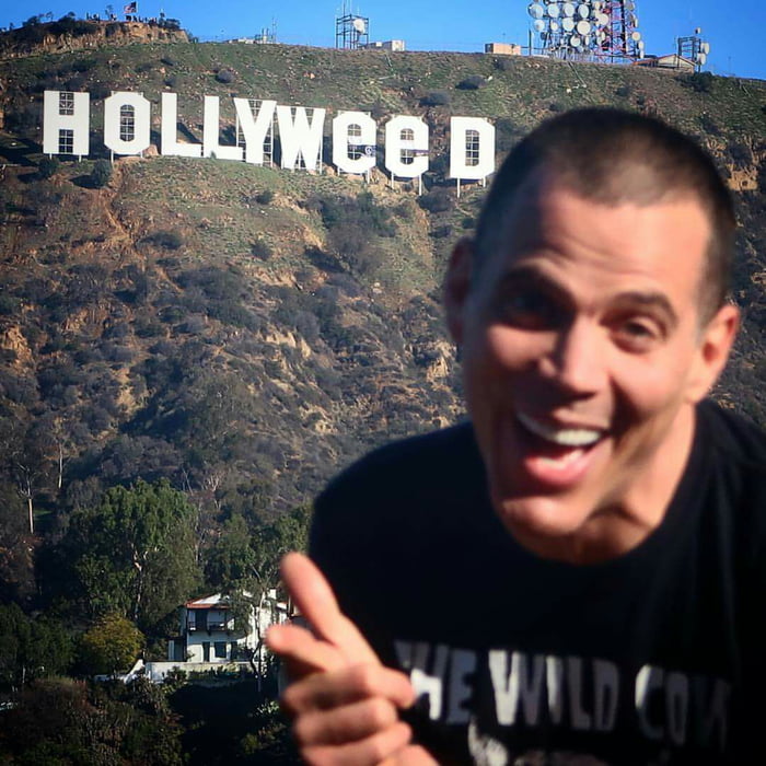 Steve-O taking a selfie with the Hollyweed prank made on the New Year's ...