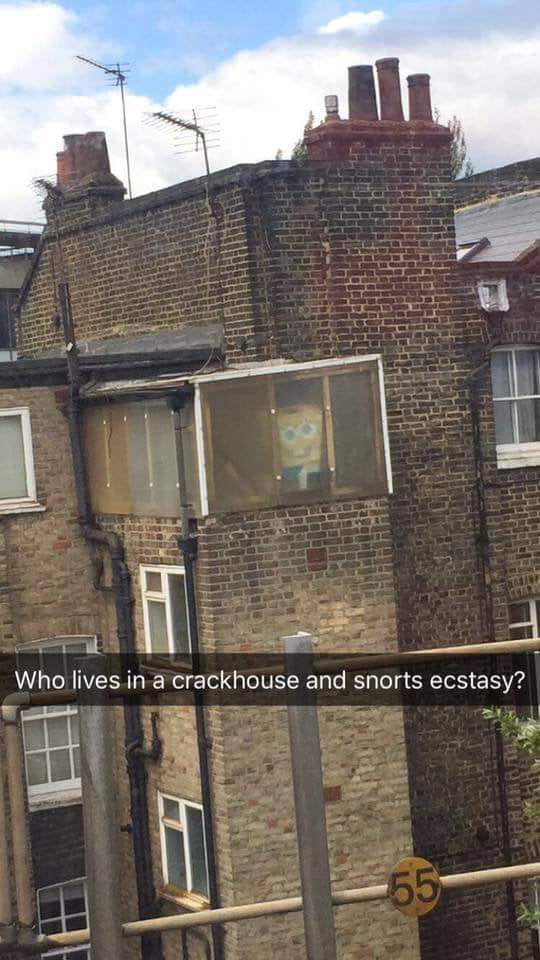 Spongebob Nopants 9gag