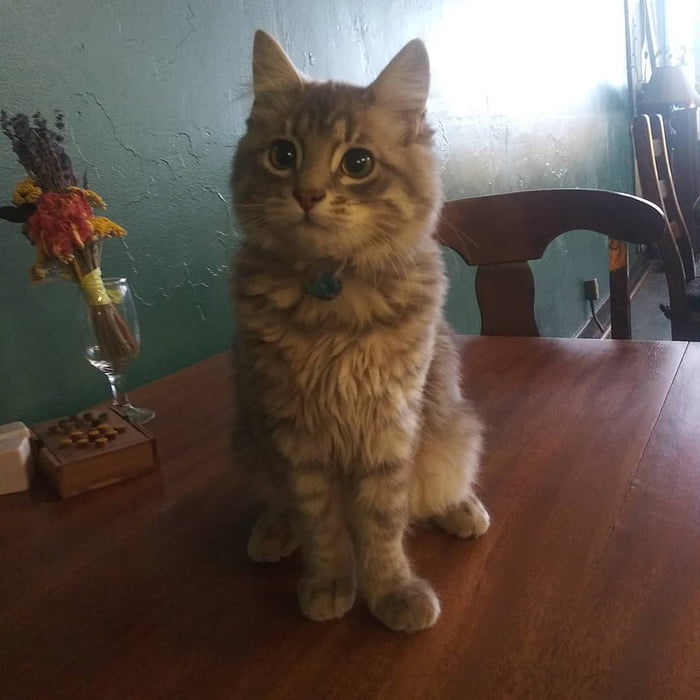 Well hello there stranger! - 9GAG