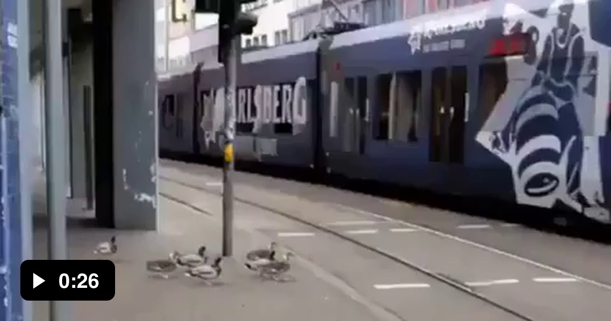 Scripted Asian Gifs - 9GAG